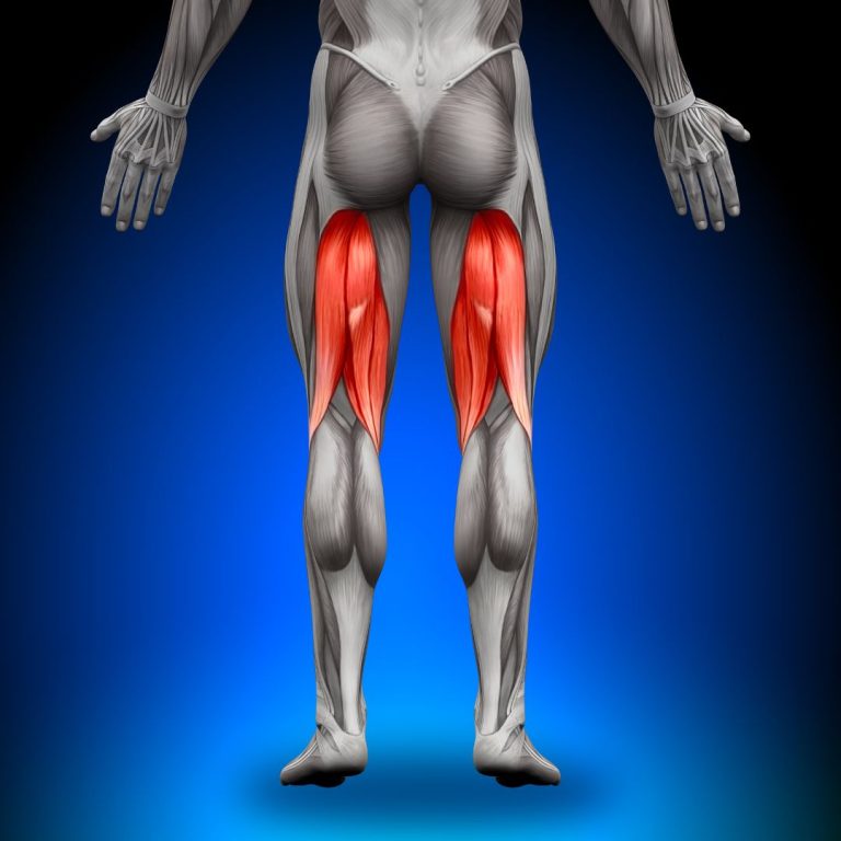 How To Prevent Recurrent Hamstring Strains - Canberra Physiotherapy clinic - TM Physio Canberra