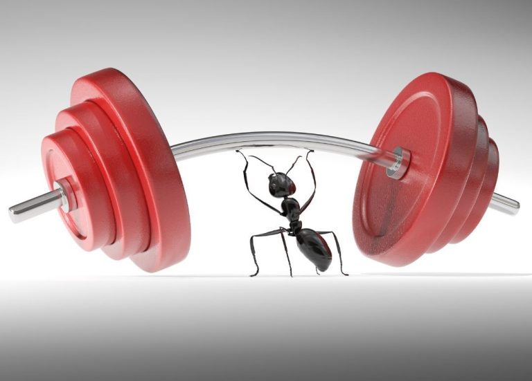 What is Strength? - Canberra Physiotherapy clinic - TM Physio Canberra